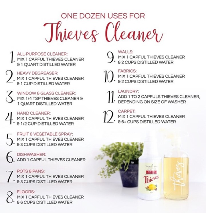 4 Thieves Cleaner Recipe | Bryont Blog